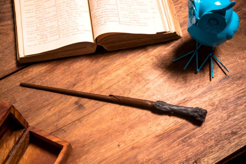 Beyond Elder: Explore Different Types of Harry Potter Wands